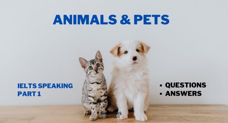 Animals / Pets IELTS Speaking Part 1 Questions with Answers