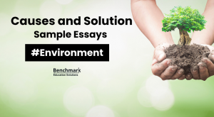 Environment in IELTS Writing Task 2: Causes and Solution Essay Samples
